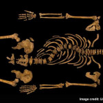 The skeleton of Richard III. - RLCherryRLCherry